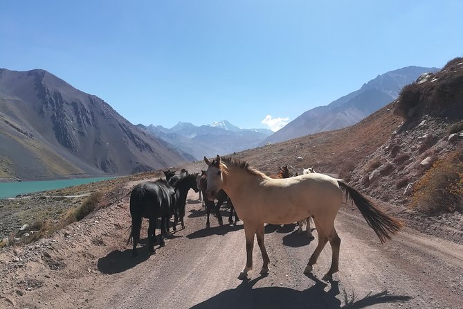 Cajon Del Maipo Including Wine with Picnic and Empanada - FAQ: Your Questions Answered