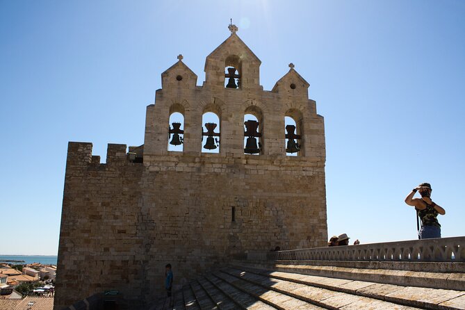 Camargue Small-Group Day Trip from Avignon - The Bottom Line: Who Should Consider This Tour?