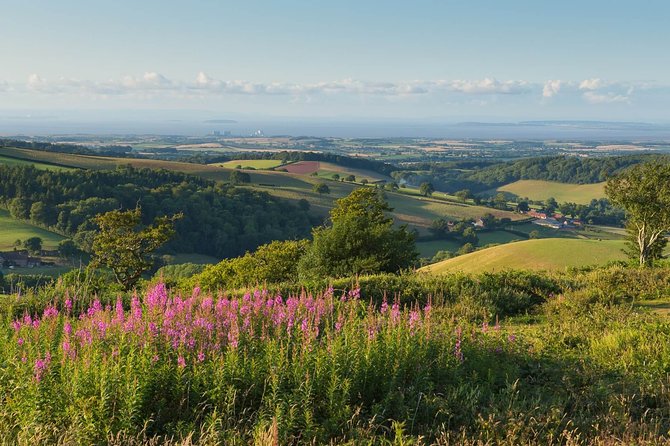Canterbury & the White Cliffs of Dover Tour (Small-Group) - The Sum Up