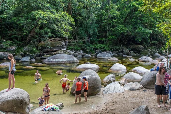 Cape Tribulation, Mossman Gorge, and Daintree Rainforest Day Trip - Transportation and Group Size