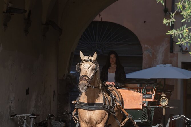 Carriage tour in the historic center of Lucca - Who Should Consider This Tour?