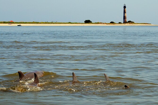 Charleston Eco Boat Cruise with stop at Morris Island Lighthouse - The Reviews Speak for Themselves