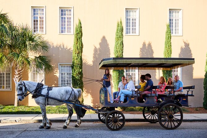 Charleston Horse-Drawn Carriage Tour: Explore Historic Charleston - The Experience for Different Travelers