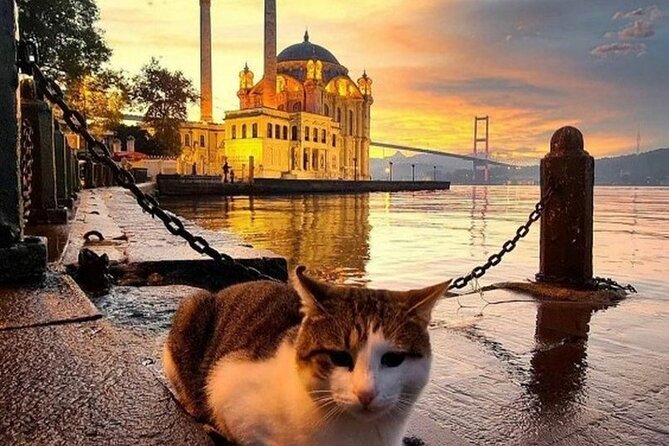 Circle Istanbul (Extraordinary Istanbul) - Practicality and Considerations