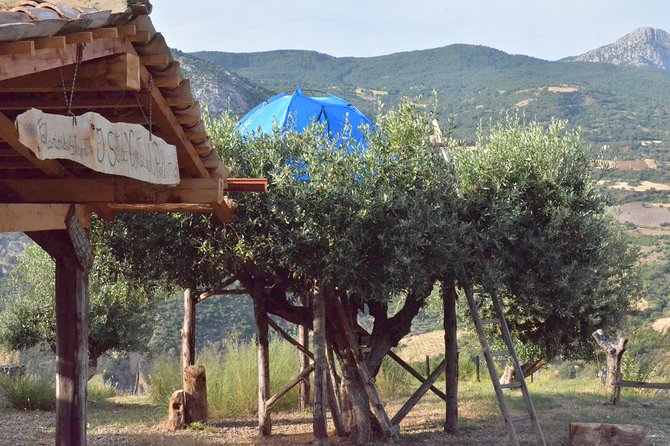 CIVITA EXPERIENCE Borgo Gole Mountain and ... RAPACI del Pollino - Viewing the Landscape and Wildlife