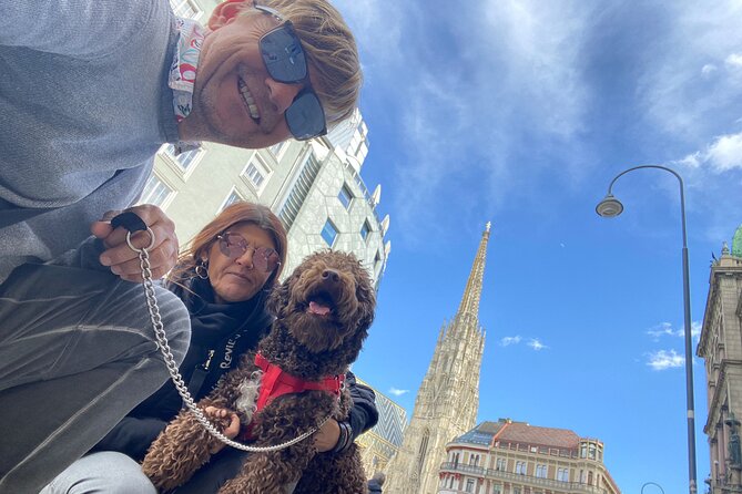 Classic Private City Tour Vienna - The Value for Your Dollar
