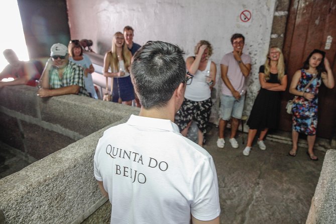 Classic Wine Tasting with GUIDED TOUR - The Tasting Experience: Wines, Port, and Insights