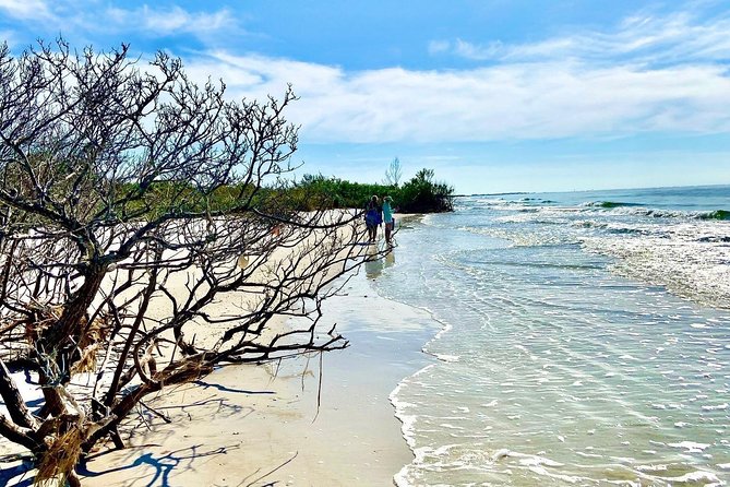Clear Kayak Tour of Shell Key Preserve and Tampa Bay Area - Equipment, Comfort, and Practicalities