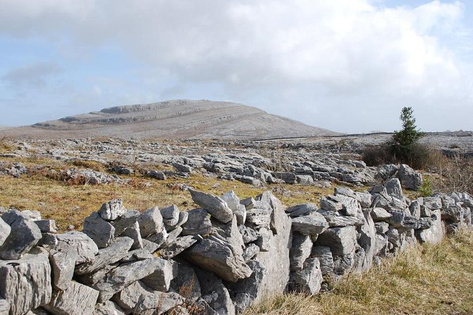 Cliffs of Moher Day Tour from Cork: Including The Wild Altanic Way - FAQs