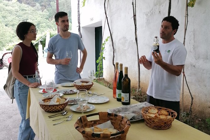 Coastal "Winery Camino Trail" Walking Tour from San Sebastian - Who Is This Tour Best For?