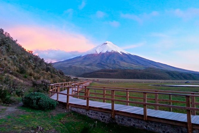 Cotopaxi Full-Day from Quito Including Entrances - The Sum Up