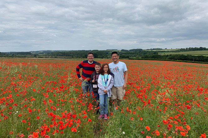 Cotswolds Private Day Tour - The Experience: What Travelers Can Expect