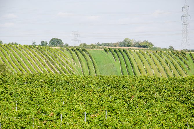 Countryside Half Day Wine Tour near Vienna - The Traditional Austrian Lunch or Dinner: A Delicious Pause