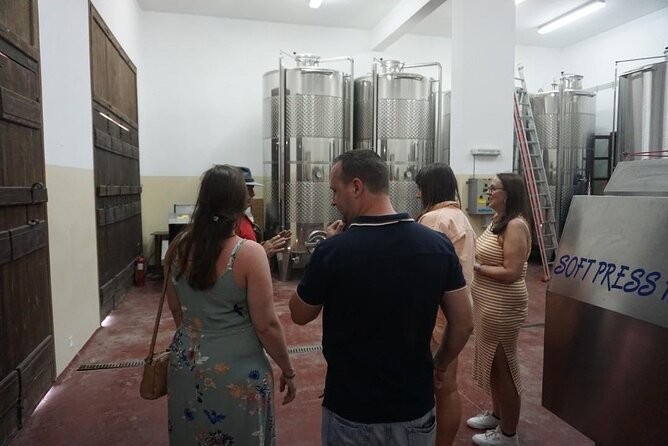 Cretan Wines & Olive oil tour - The treasures of Crete - FAQs