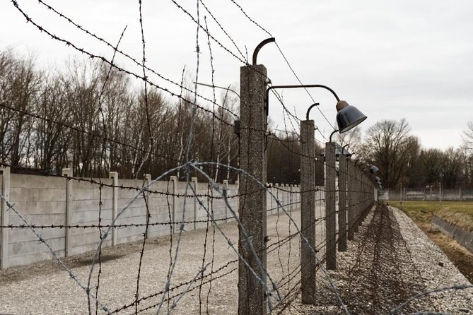 Dachau Tour from Munich - Authentic Reviews: What Travelers Say