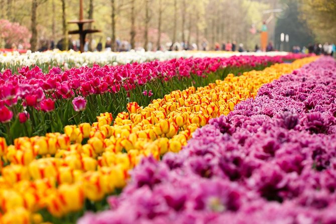 Day Trip to Keukenhof Gardens from Amsterdam with Tour Guide - Weather and Logistics: What to Expect