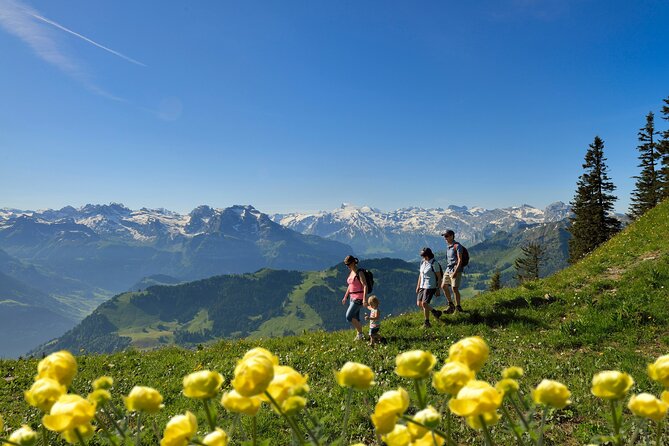 Day Trip to Lucerne and Mount Stanserhorn Including CabriO Cable Car Ride - FAQs