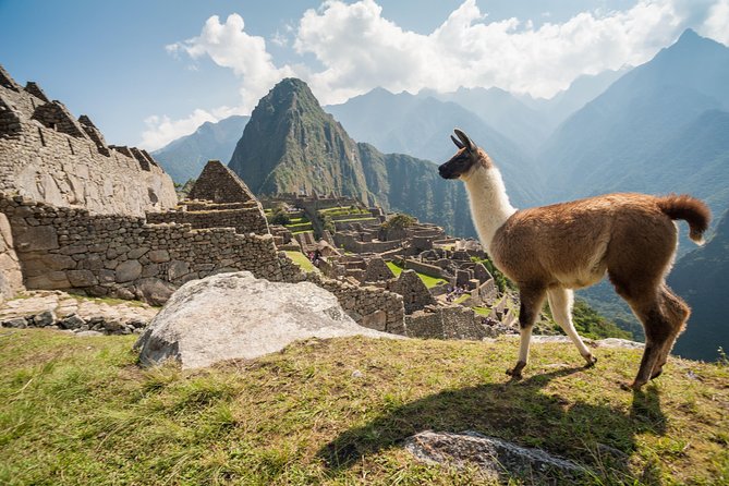 Day Trip Tour to Machu Picchu from Cusco - FAQs