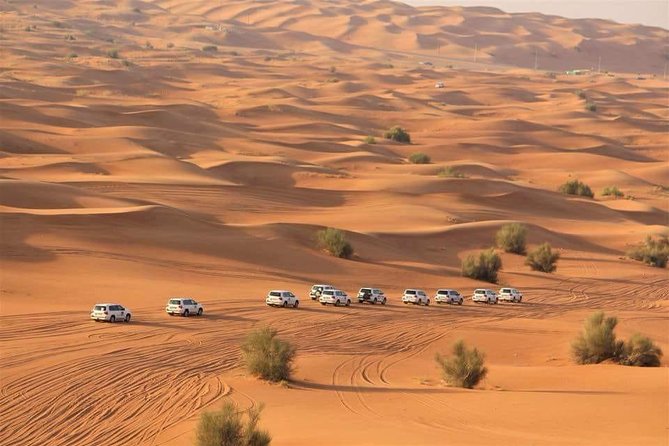 Desert Safari With BBQ Dinner, Quad Bike & Camel Ride from Dubai - Who Will Love This Experience?