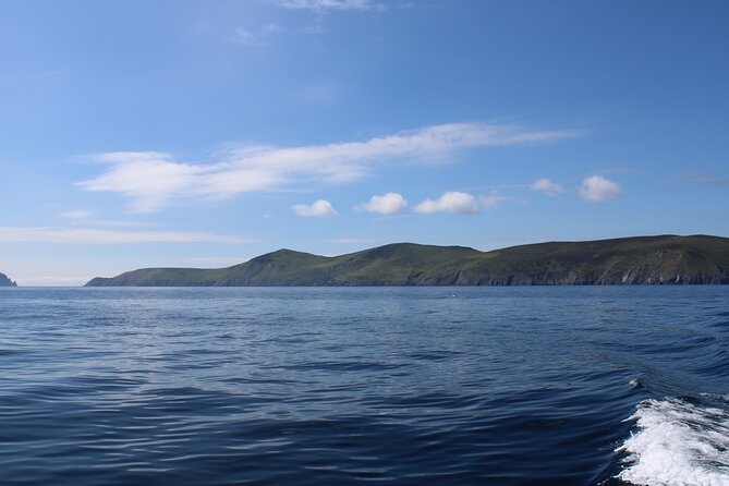 Dingle Dolphin Blasket Adventures - Final Thoughts: Is It Worth It?