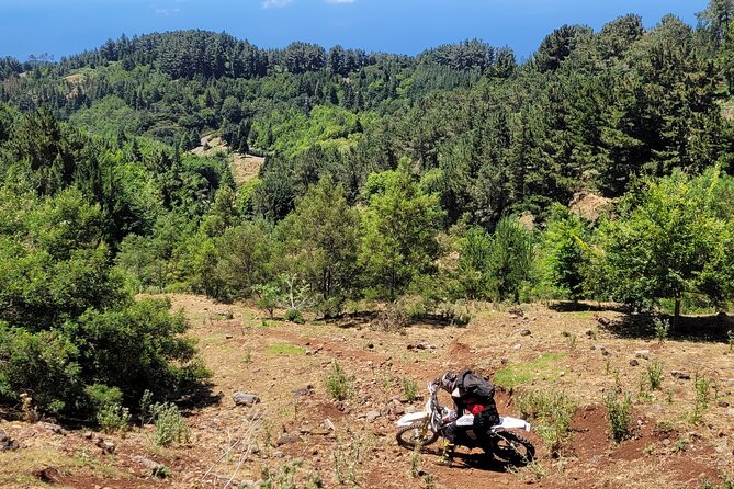 Dirt-Bike Tour in Madeira - Why the Tour Excels: Highlights and Unique Selling Points