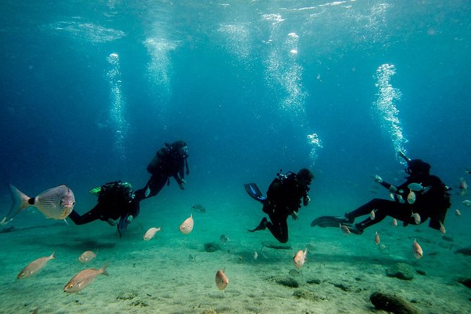 Discover Scuba Diving - FAQ