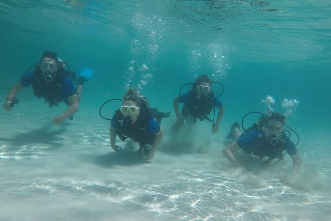 Discover Scuba Diving - Value and Pricing: Is It Worth It?