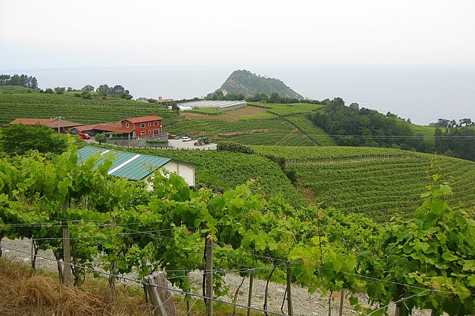 Discover the Essence of Txakoli Wine from San Sebastian - Frequently Asked Questions