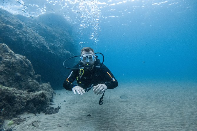 Discover the underwater world of Lanzarote - Who Should Consider This Tour?