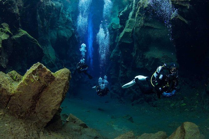 Dive the Divide: Silfra Fissure Scuba Tour | Reykjavik Pickup - Authentic Experiences and What Travelers Say