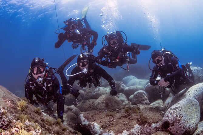 Diving guided by the Diving Center (with full equipment) - Why the Experience Excels