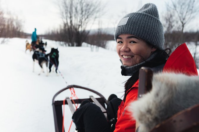 Dog Sled Tour and Husky Cuddles - The Sum Up