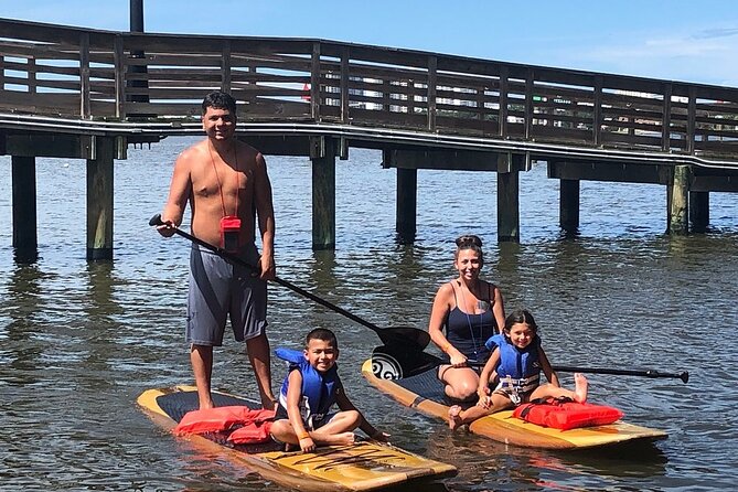 Dolphin and Manatee Stand Up Paddleboard Tour in Daytona Beach - Pricing and Value