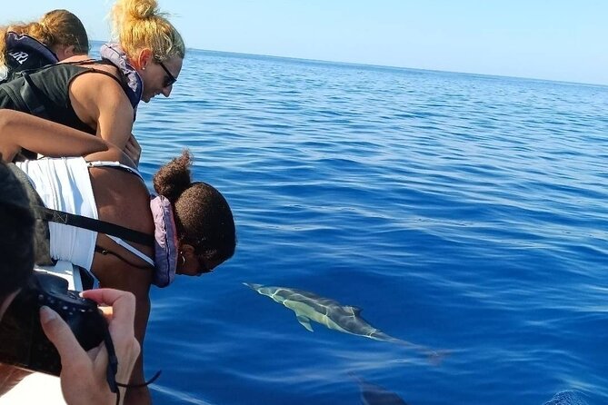 Dolphin Watching + 2 Islands Tour - From Faro - Real Travelers’ Feedback