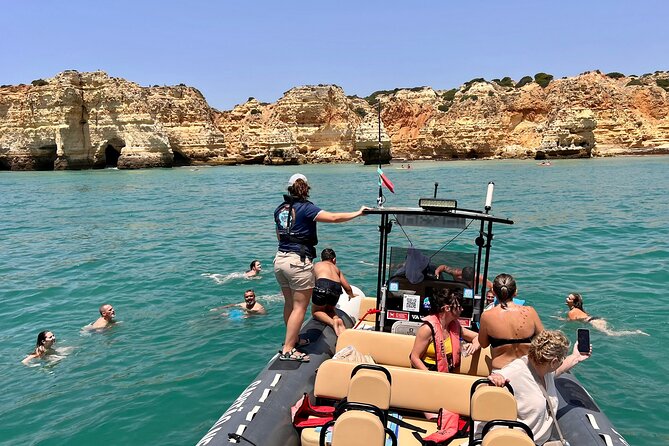Dolphins & Benagil Caves with Biologist guide - Value and Cost Analysis
