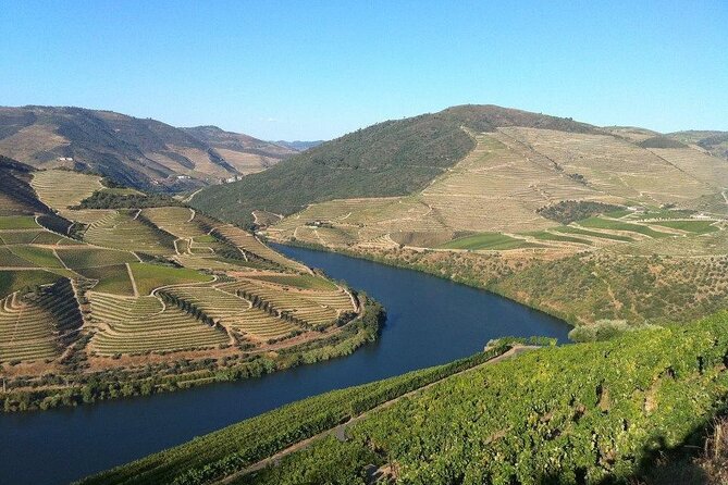 DOURO TOURS - in Pinhão 1 day all inclusive 99, Douro Valley - Final Thoughts