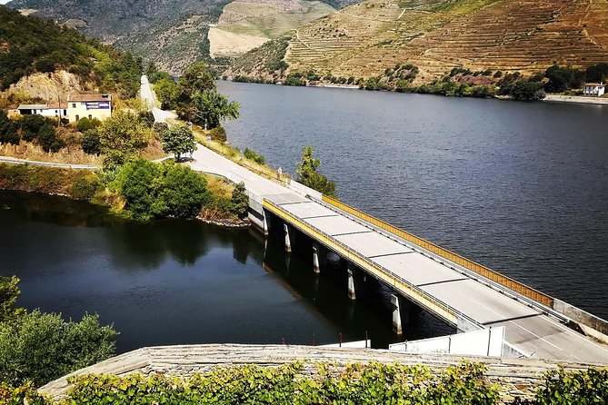 Douro Valley from Porto with Wineries, Lunch and Boat Trip - Who Will Enjoy This Tour Most?