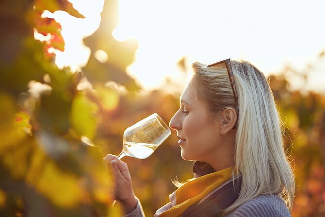 Douro Valley: Historical Sites, Wine Experience, Lunch & Cruise - The Scenic Drive Along the N222 Road