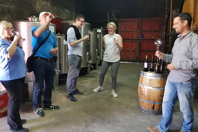 Douro Valley Tour: 2 Vineyard Visits, River Cruise, Winery Lunch - Pinhão and the Douro River Cruise