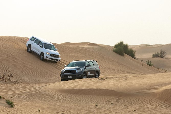 Dubai Desert Safari with Quads, BBQ Dinner, Camel ride, & Shows - FAQ