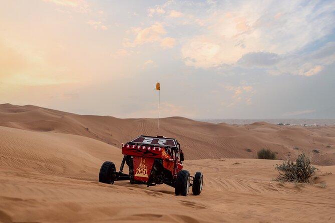 Dubai Dune Buggy Safari Tour in Red Dunes Options - Is This Tour Worth the Price?