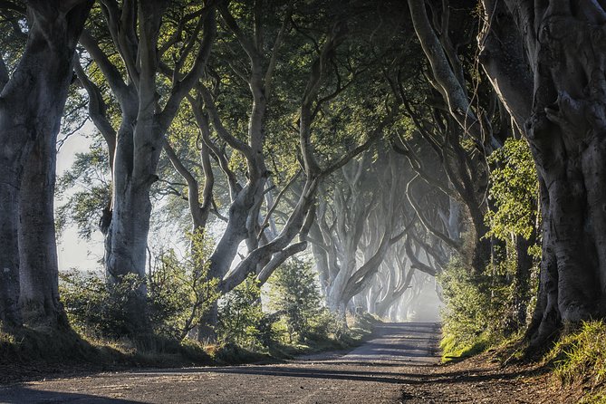 Dublin to Dunluce Castle, Giant's Causeway, Dark Hedges & Belfast - The Bottom Line: Who Is This Tour For?