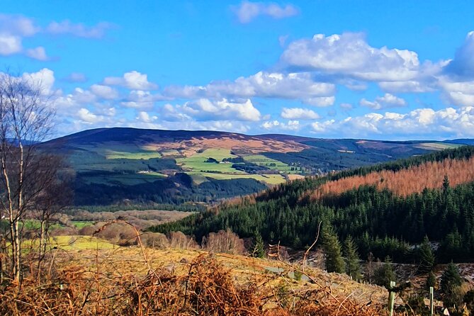 Dublin & Wicklow Mountain Pub Tour small group tour max 15 people - Authentic Experiences and Genuine Hospitality