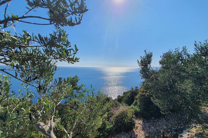 Dubrovnik Private Wine Tasting Tour To Peljesac - Practical Details and Considerations