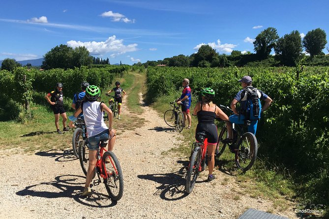 E-Bike Tour and Wine Tasting in Lazise - The Guide and Group Size