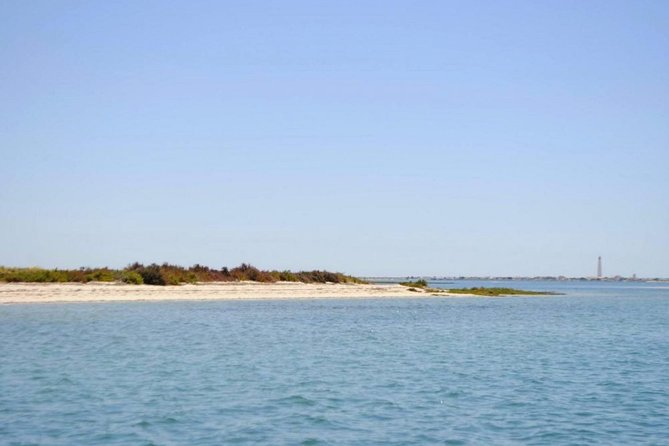 Eco Boat Tour in the Ria Formosa Lagoon from Faro - Frequently Asked Questions