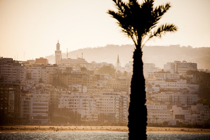 Essential Tangier excursion 1 day - Who Is This Tour Best For?