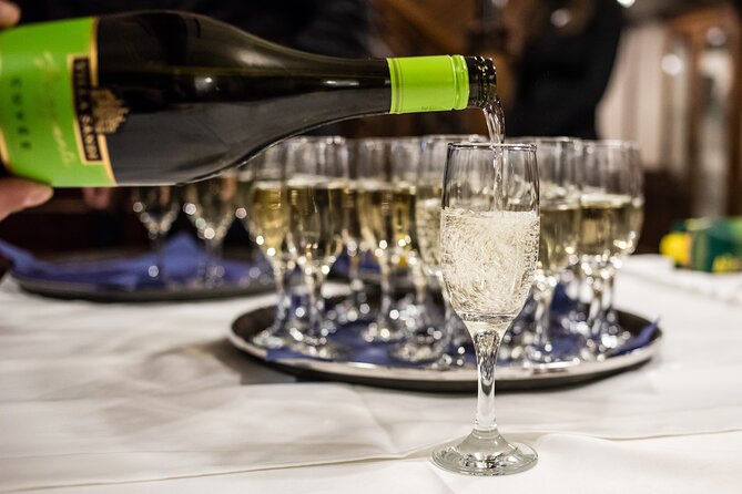 Evening Cruise on the Danube with Optional Drinks - What the Reviews Say: Authentic Traveler Insights