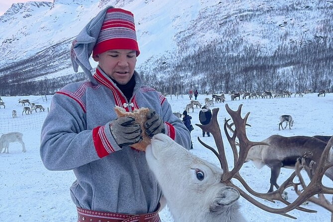 Exclusive Reindeers Experience in small groups, Tromso - FAQ