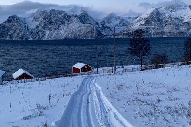 Experience Cross-Country Adventure in Tromsø - Food and Comfort Breaks